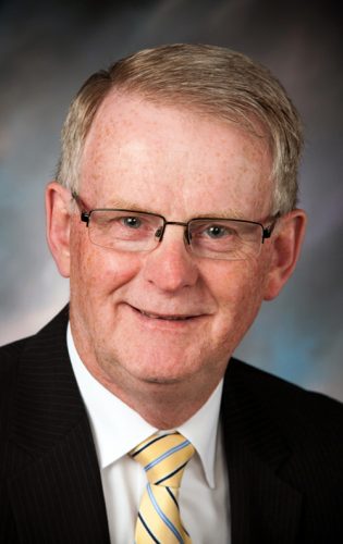 Mourlam named interim WCF CEO | News, Sports, Jobs - The Freeman Journal